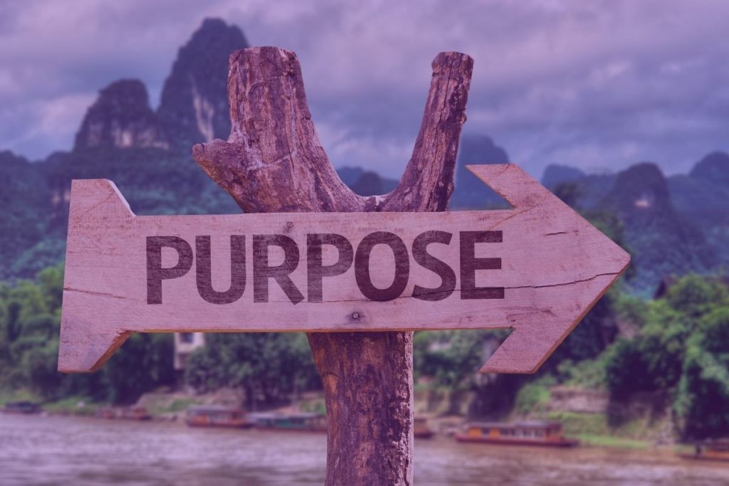 How To Live In Alignment With Your Values